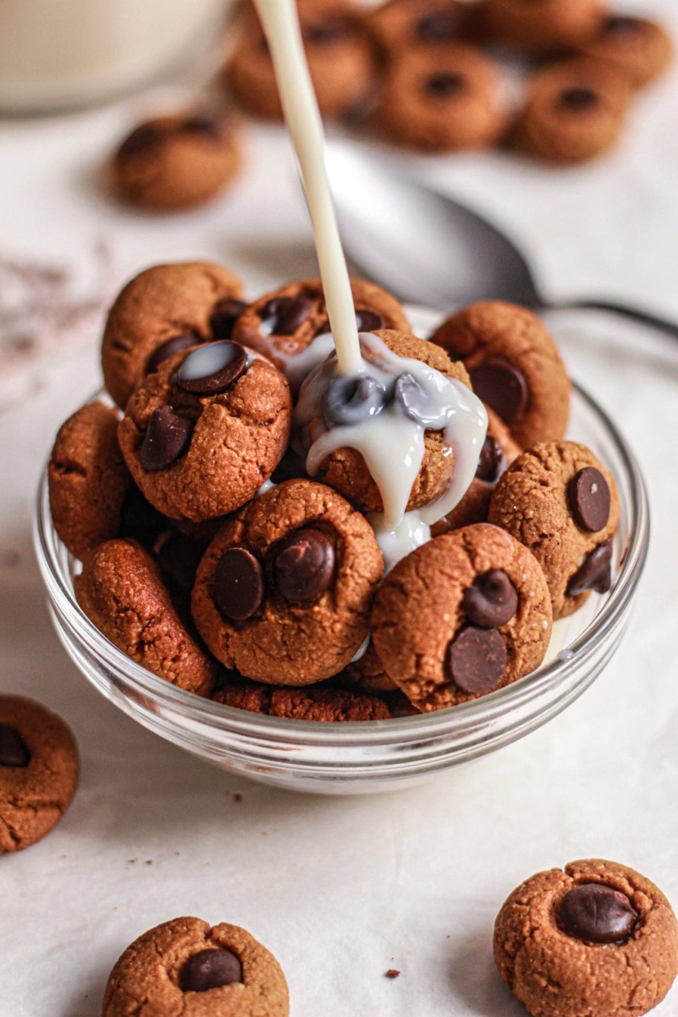 Cookie Cereals Recipe (Healthy)